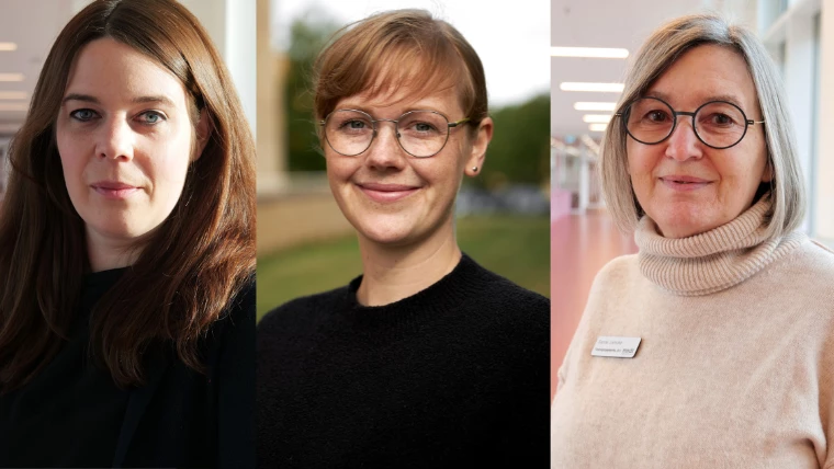 Psykiatrien i Region Midtjylland